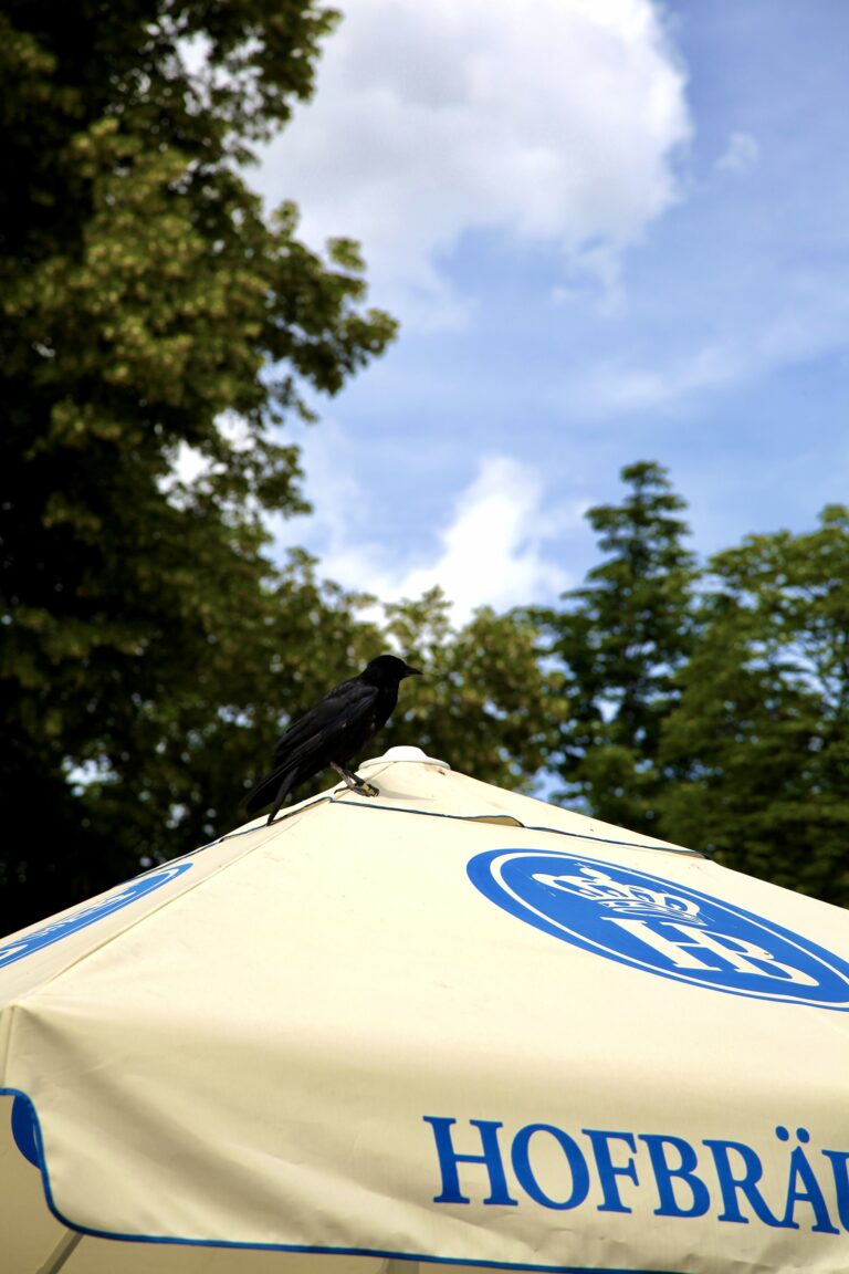 Chinesischer Turm Home - Biergarten am Chinesischen Turm
